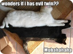 Dawn's Rise: The “Evil Twin” Meme Sucks